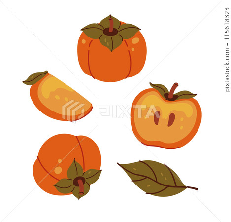 Set of persimmons and parts isolate on a white... - Stock Illustration ...