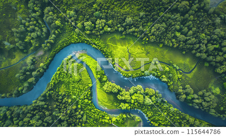 Aerial view of a river flowing through a jungle... - Stock Illustration ...
