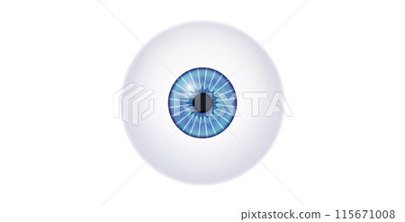 Iris medical poster - Stock Illustration [115671008] - PIXTA