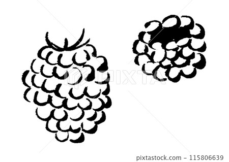 Brush-drawn raspberry line drawing illustration... - Stock Illustration ...