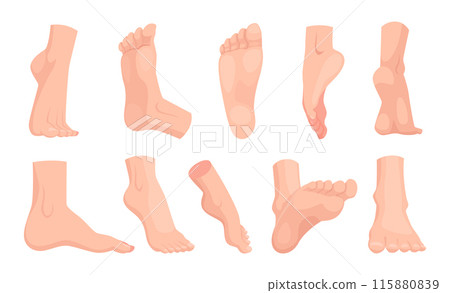 Human foot. People anatomy illustration... - Stock Illustration ...