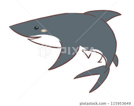 simple shark illustration - Stock Illustration [115953649] - PIXTA