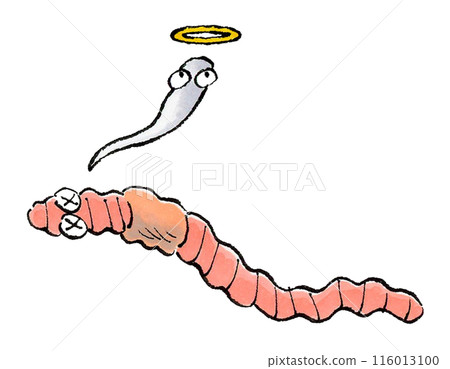 Dead Earthworm Are There Dead Worms On The Road In Your Neighborhood?
