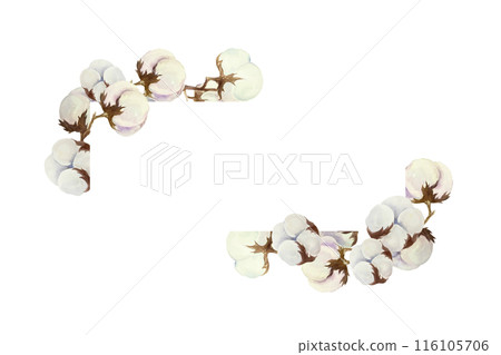 Cotton template for inserting text. Hand drawn... - Stock Illustration ...