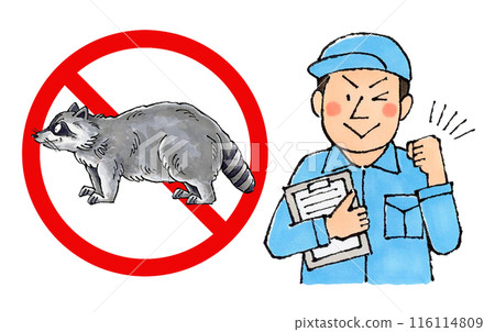 Male worker at a raccoon extermination company... - Stock Illustration ...