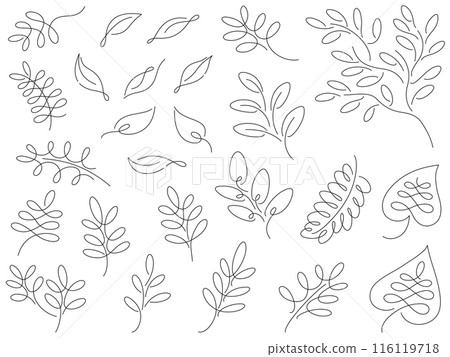 Botanical line drawing illustration - Stock Illustration [116119718 ...