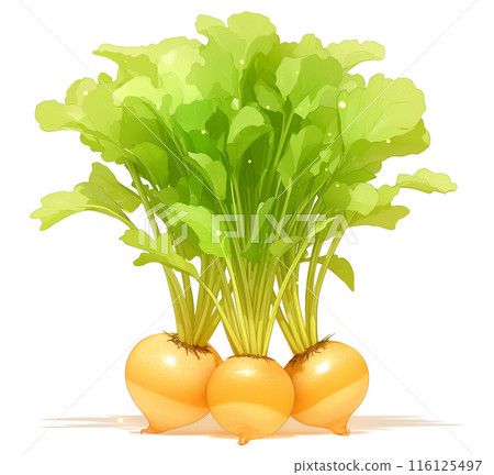 Three fresh golden turnips with green leaves,... - Stock Illustration ...