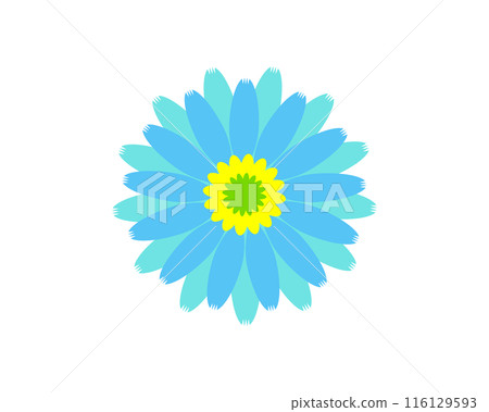 A simple illustration of a light blue gerbera - Stock Illustration ...