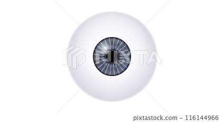Iris medical poster - Stock Illustration [116144966] - PIXTA