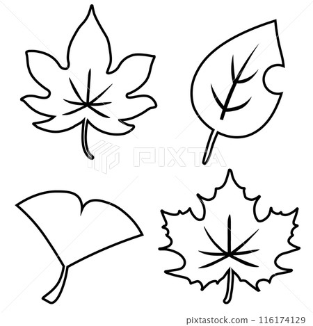 Line drawing of fallen leaves - Stock Illustration [116174129] - PIXTA