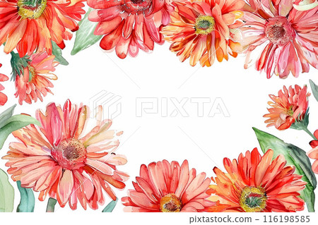 Gerbera soft watercolor frame - Stock Illustration [116198585] - PIXTA
