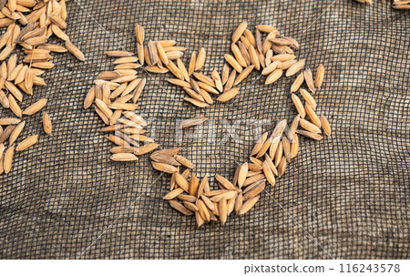 Unhulled rice grains are spread out on a... - Stock Photo [116243578 ...