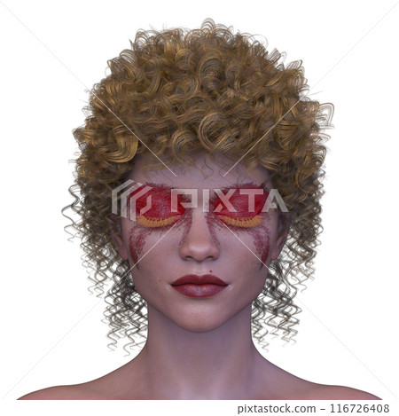 Female face up - Stock Illustration [116726408] - PIXTA