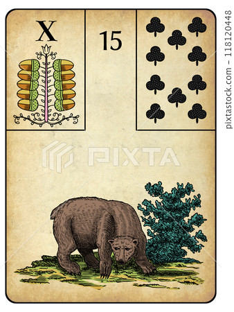 Lenormand Card 15 Bear - Stock Illustration [118120448] - PIXTA