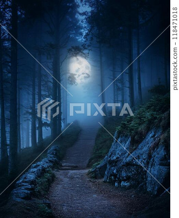 Deep forest landscape at night - Stock Illustration [118471018] - PIXTA