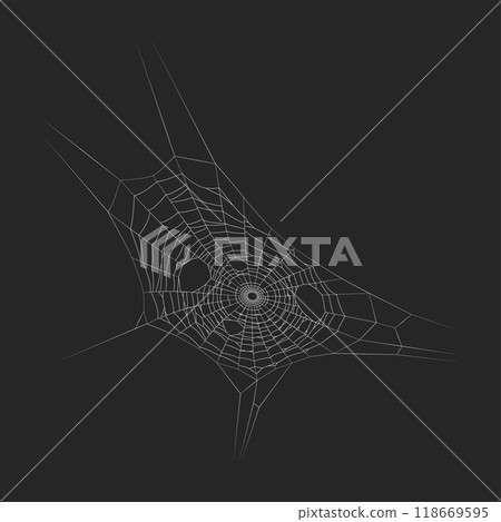 Realistic Spider Web Drawing 2.060 Spider Web High Res Illustrations