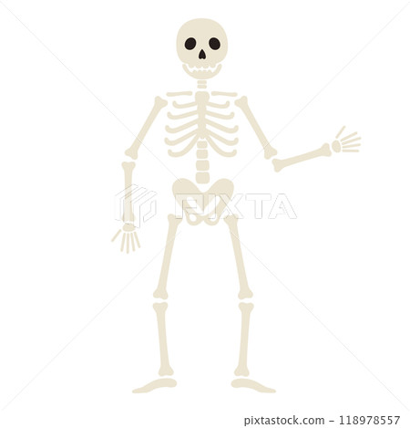 Human skeleton stands and waves hand. Funny... - Stock Illustration ...