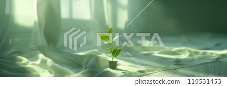 Young plant in a small pot casts a soft shadow... - Stock Illustration ...
