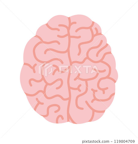 Human brain, two hemispheres, top view. Vector... - Stock Illustration ...