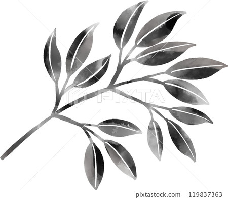Illustration of Nanten drawn in ink - Stock Illustration [119837363 ...