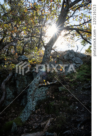 Seasonal natural scene, Tribec mountain range,...-照片素材（圖片） [120116153 ...