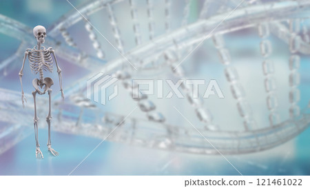 The Skeleton on black background for education...-插圖素材 [121461022 ...