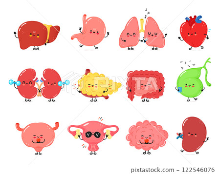 Happy Human Internal Organs Cute Cartoon Organ... - Stock Illustration ...