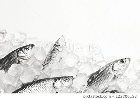Fresh fish lying on ice with a clean white... - Stock Illustration ...