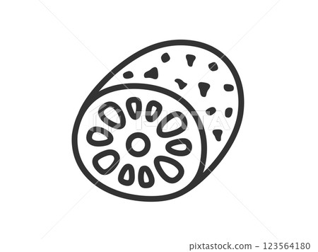 Illustration of lotus root icon (line drawing) - Stock Illustration ...