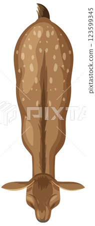 Top-Down View of a Deer - Stock Illustration [123599345] - PIXTA