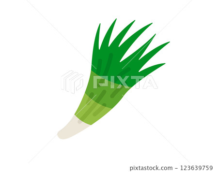 Illustration of green onion icon - Stock Illustration [123639759] - PIXTA