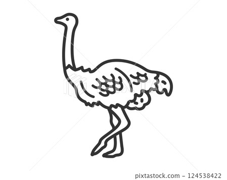 Ostrich (line drawing) illustration - Stock Illustration [124538422 ...