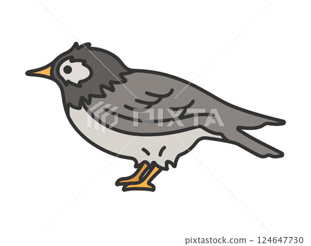 Illustration of a starling (line drawing color) - Stock Illustration ...