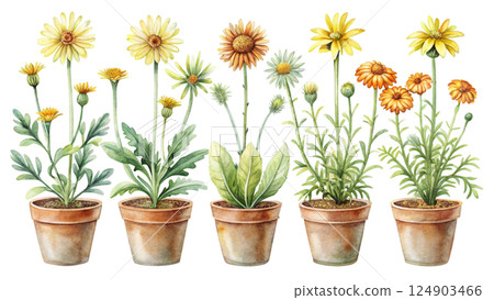 The most beautiful flower is extinct Watercolor - Stock Illustration ...