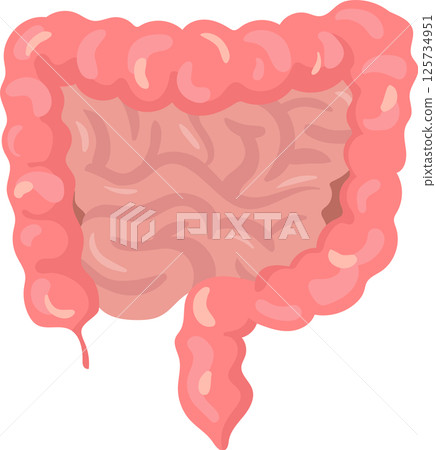 Realistic vector illustration of a healthy... - Stock Illustration ...