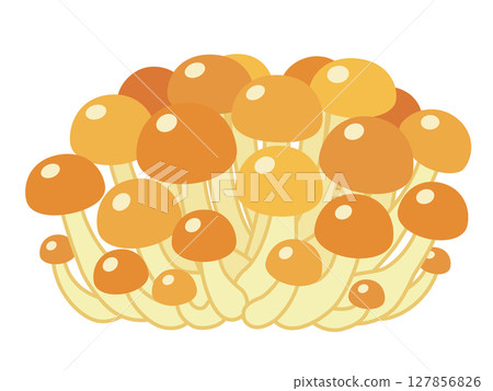 Nameko icon - Stock Illustration [127856826] - PIXTA