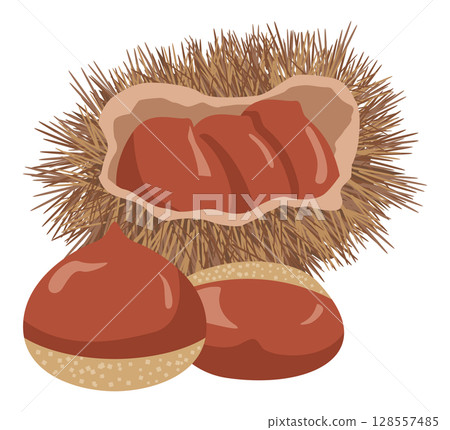 Illustration of an open chestnut burr and... - Stock Illustration ...