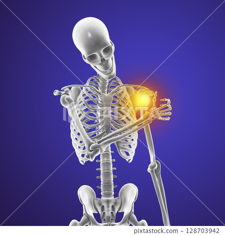 Human skeleton with shoulder pain - Stock Illustration [128703942] - PIXTA