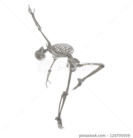 Anatomy of dancing and ballet, 3D illustration - Stock Illustration ...