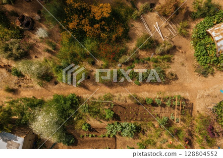 Top-down farm view with diverse crops and... - Stock Illustration ...