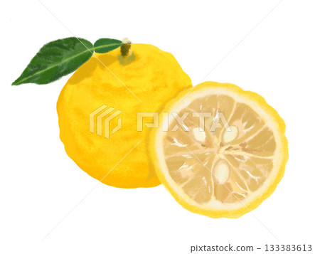 Yuzu (one and cross section) colored pencil... - Stock Illustration ...
